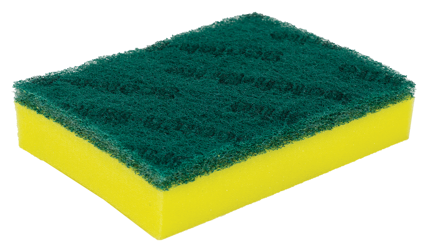 Scouring Sponges| Jaybro