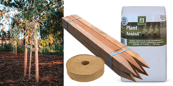 Hardwood tree stakes | Jaybro - Blog